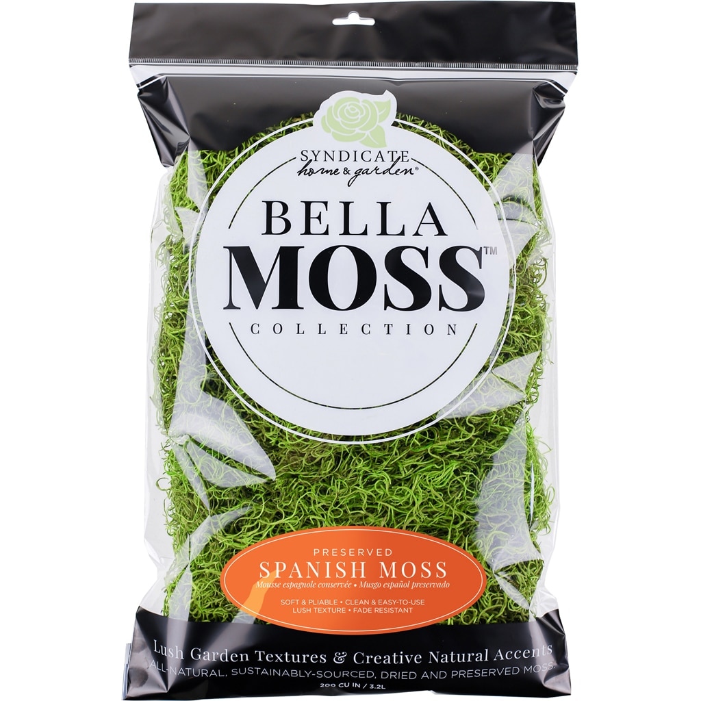 SPANISH MOSS PRESERVED spanish-moss-preserved